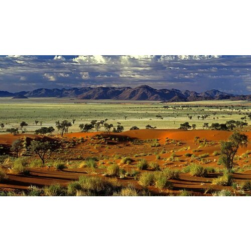 Картина на холсте 60x110 LinxOne "Пустыня Ток Токи Намибия" интерьерная для дома / на стену / на кухню / с подрамником
