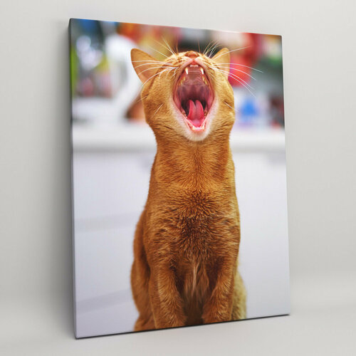 Картина на холсте (интерьерный постер) "Рыжий абиссинский кот", с деревянным подрамником, размер 30x40 см