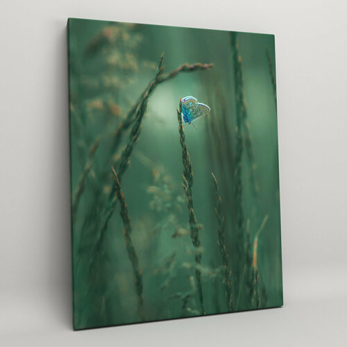 Картина на холсте (интерьерный постер) "Голубая бабочка в траве" растения, с деревянным подрамником, размер 30x40 см
