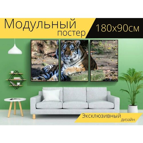 Модульный постер "Тигр, животное, большой кот" 180 x 90 см. для интерьера