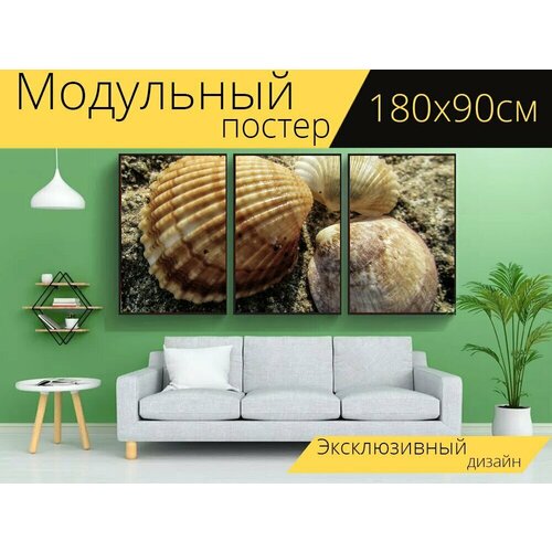 Модульный постер "Оболочка, пляж, природа" 180 x 90 см. для интерьера
