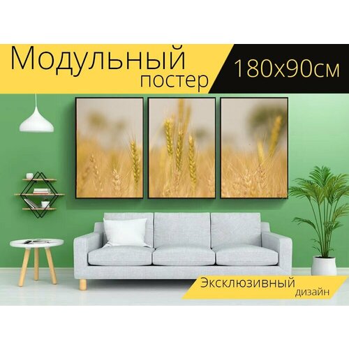 Модульный постер "Пшеница, зерно, обрезать" 180 x 90 см. для интерьера