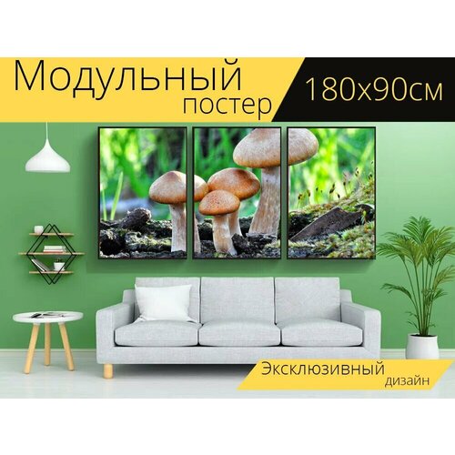 Модульный постер "Грибы, гриб, природа" 180 x 90 см. для интерьера
