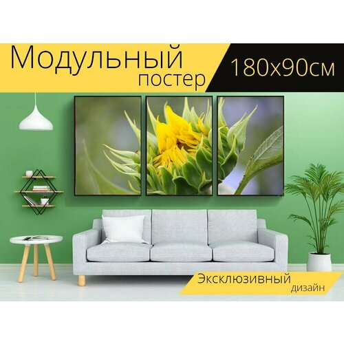 Модульный постер "Подсолнечник, желтый, цветок" 180 x 90 см. для интерьера