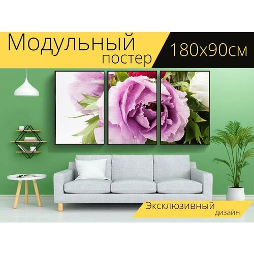 Модульный постер "Букет цветов, пион, цветок" 180 x 90 см. для интерьера