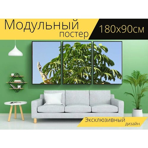 Модульный постер "Эриоботрия японская, мушмула, дерево" 180 x 90 см. для интерьера