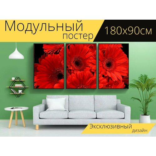 Модульный постер "Герберы, красный, красный цветок" 180 x 90 см. для интерьера