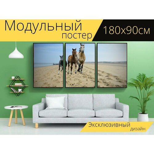 Модульный постер "Лошади, лошадь, пляж" 180 x 90 см. для интерьера