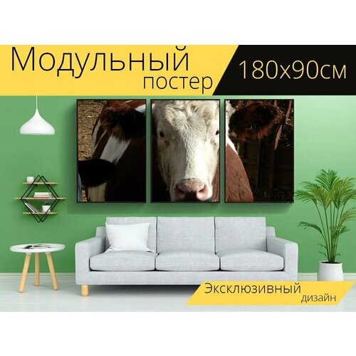 Модульный постер "Красный гольштейн стир, говядина, корова" 180 x 90 см. для интерьера