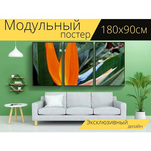 Модульный постер "Цветок, апельсин, яркий" 180 x 90 см. для интерьера