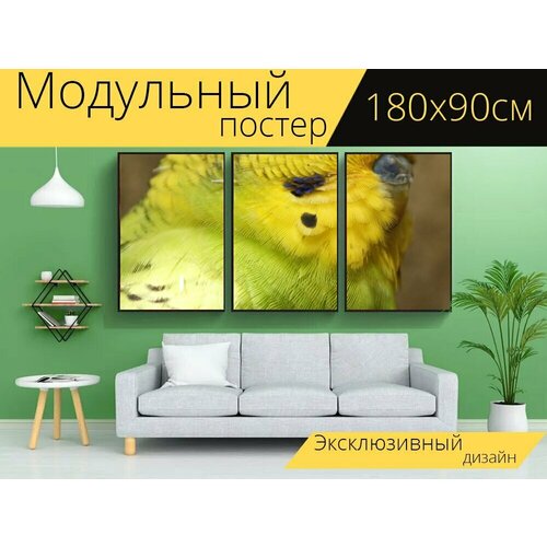 Модульный постер "Попугай, птица, животное" 180 x 90 см. для интерьера