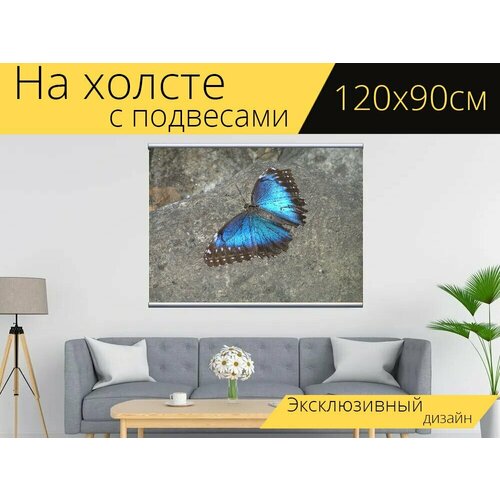 Картина на холсте "Бабочка, моль, синий" с подвесами 120х90 см. для интерьера
