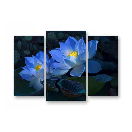 Модульная картина на холсте | Diva Kartina | Цветы. Голубые лотосы | 100X70 см
