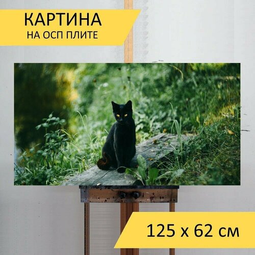 Картина на ОСП 125х62 см. "Кошка, черный кот, на открытом воздухе" горизонтальная, для интерьера, с креплениями