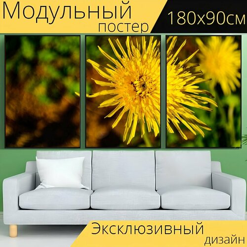 Модульный постер "Одуванчик, желтый, природа" 180 x 90 см. для интерьера