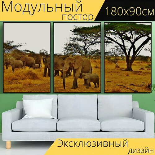 Модульный постер "Слон, танзания, африка" 180 x 90 см. для интерьера