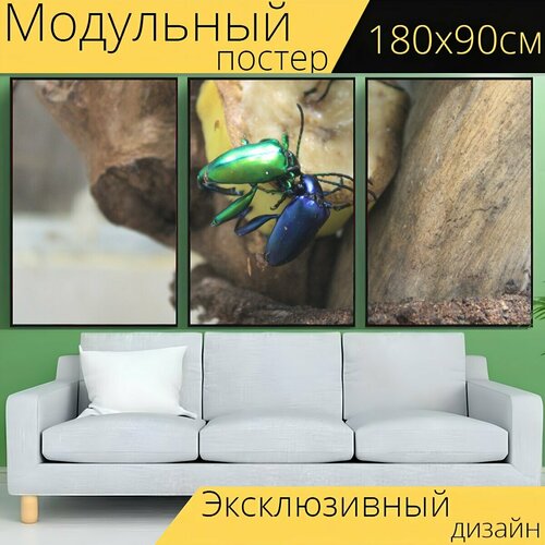 Модульный постер "Жуки, животное, насекомые" 180 x 90 см. для интерьера