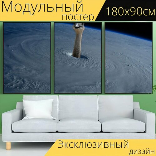 Модульный постер "Страус, земля, ураган" 180 x 90 см. для интерьера