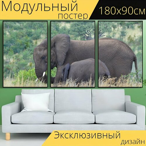 Модульный постер "Слоны, бивни, ствол" 180 x 90 см. для интерьера