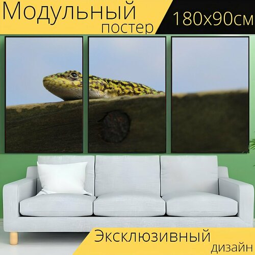 Модульный постер "Ящерица, геккон, рептилия" 180 x 90 см. для интерьера