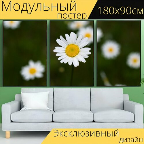 Модульный постер "Ромашка, цветок, трава" 180 x 90 см. для интерьера