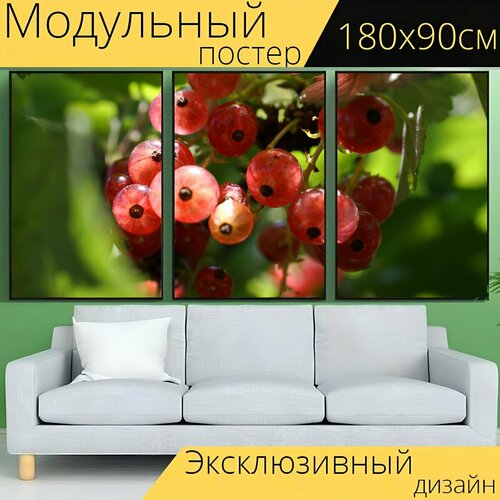 Модульный постер "Ягода, ягоды, завод" 180 x 90 см. для интерьера