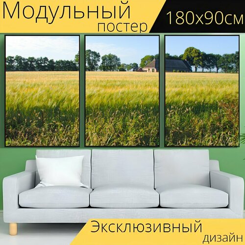 Модульный постер "Ферма, поле, пшеница" 180 x 90 см. для интерьера