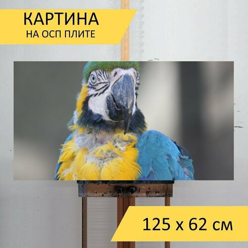 Картина на ОСП 125х62 см. "Ара, попугай, тропические" горизонтальная, для интерьера, с креплениями