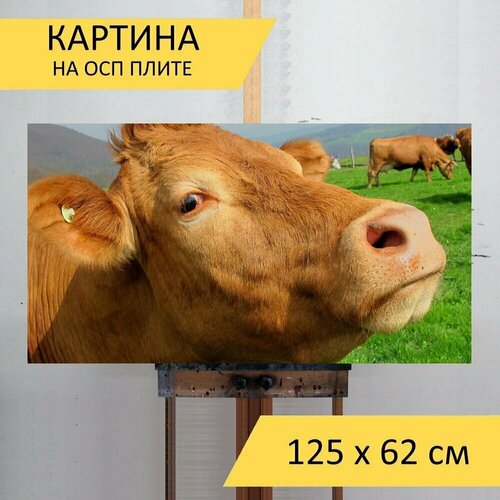 Картина на ОСП 125х62 см. "Браун, корова, млекопитающее" горизонтальная, для интерьера, с креплениями