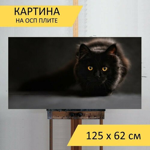 Картина на ОСП 125х62 см. "Мейн кун, кошка, кошачьи глаза" горизонтальная, для интерьера, с креплениями