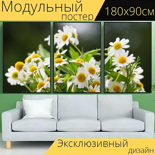 Модульный постер "Цветы, ромашка, полевые цветы" 180 x 90 см. для интерьера