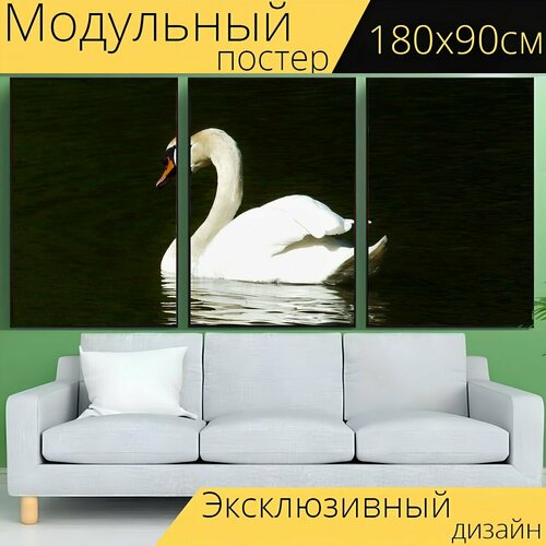 Модульный постер "Птица, лебедь, водное пространство" 180 x 90 см. для интерьера