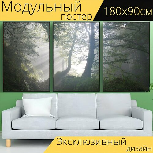 Модульный постер "Деревья, солнечные лучи, туман" 180 x 90 см. для интерьера