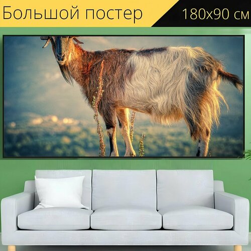 Большой постер "Козел, животное, домашний скот" 180 x 90 см. для интерьера