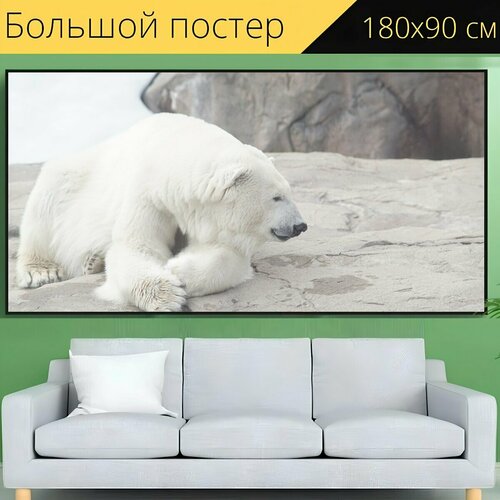 Большой постер "Природа, белый медведь, полярный медведь" 180 x 90 см. для интерьера
