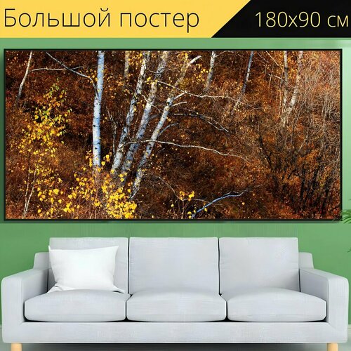 Большой постер "Осенние краски, осенний пейзаж, пейзаж" 180 x 90 см. для интерьера