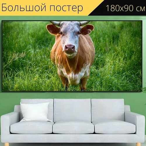 Большой постер "Бык, корова, животное" 180 x 90 см. для интерьера