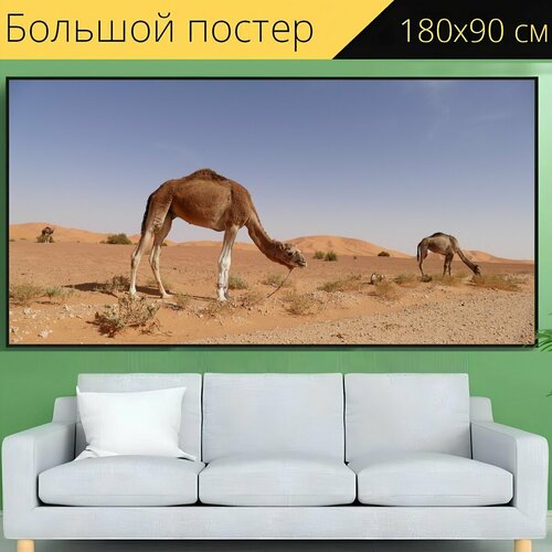 Большой постер "Верблюды, верблюд, пустыня" 180 x 90 см. для интерьера