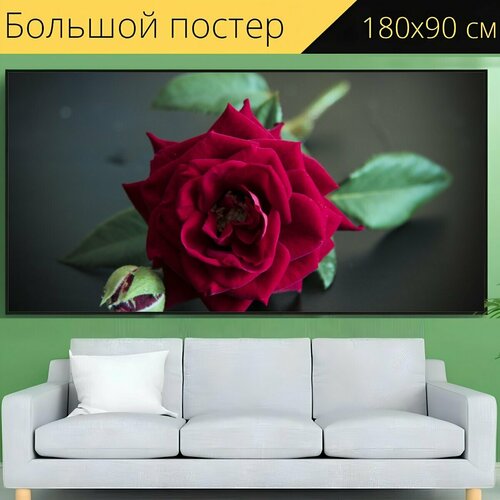 Большой постер "Роза, цветок, цветочек" 180 x 90 см. для интерьера