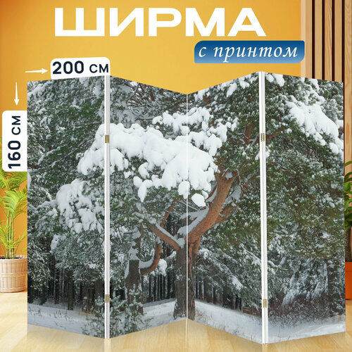 Ширма перегородка с принтом "Зима, зимний лес, одиночество" на холсте - 200x160 см. для зонирования, раскладная