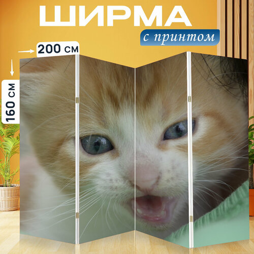 Ширма перегородка с принтом "Котик, кот, котенок" на холсте - 200x160 см. для зонирования, раскладная
