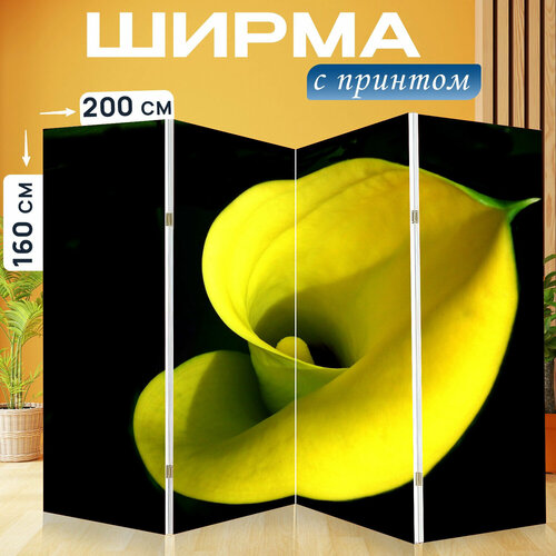 Ширма перегородка с принтом "Цветок, калла, желтый" на холсте - 200x160 см. для зонирования, раскладная