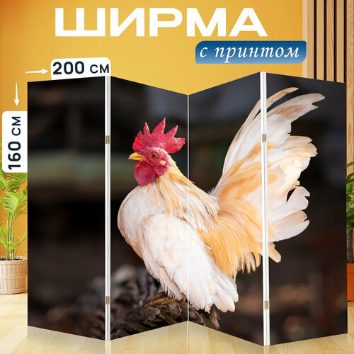 Ширма перегородка с принтом "Петух, курица, цыпленок" на холсте - 200x160 см. для зонирования, раскладная