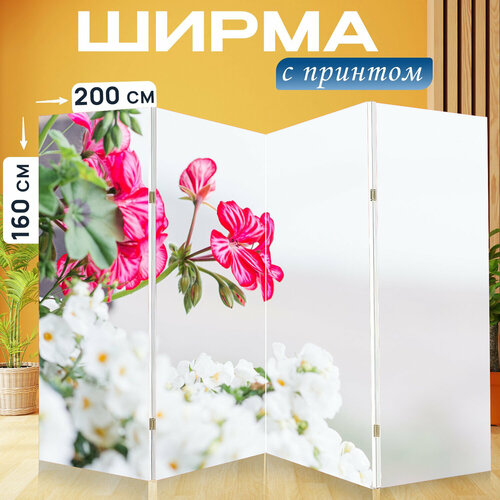Ширма перегородка с принтом "Цветочный, цветы, весна" на холсте - 200x160 см. для зонирования, раскладная