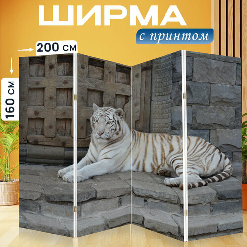 Ширма перегородка с принтом "Тигр, белый, королевский" на холсте - 200x160 см. для зонирования, раскладная
