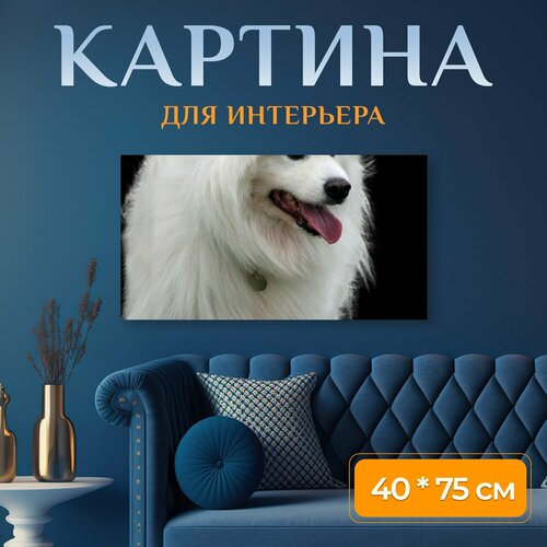 Картина на холсте "Собака, домашний питомец, животное" на подрамнике 75х40 см. для интерьера