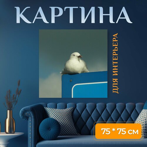 Картина на холсте "Птица, отметка, знак" на подрамнике 75х75 см. для интерьера