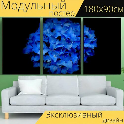 Модульный постер "Гортензия, цветы, синий" 180 x 90 см. для интерьера