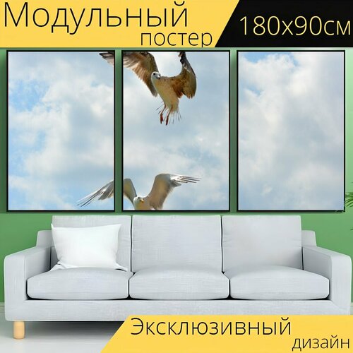 Модульный постер "Чайка, стадо, птицы" 180 x 90 см. для интерьера