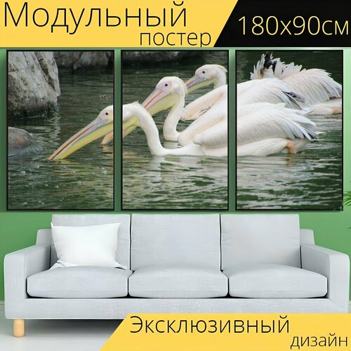Модульный постер "Пеликаны, птицы, озеро" 180 x 90 см. для интерьера